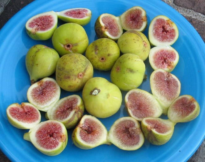 Fig Plates – Mountain Figs