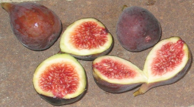 The Many Names of the Mt Etna Fig Variety – Mountain Figs