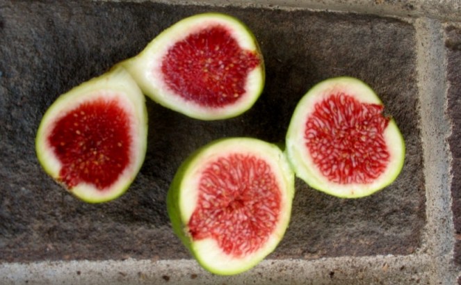 Paradiso – Mountain Figs