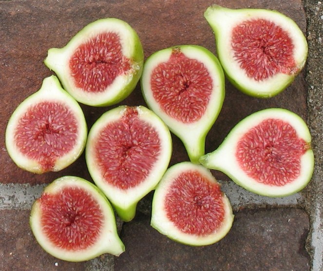 Paradiso – Mountain Figs