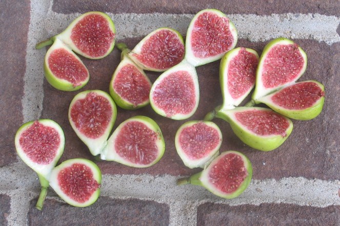 Paradiso – Mountain Figs