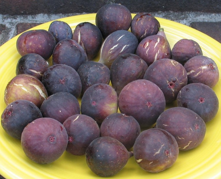 Mt Etna (4) (1024×831) – Mountain Figs