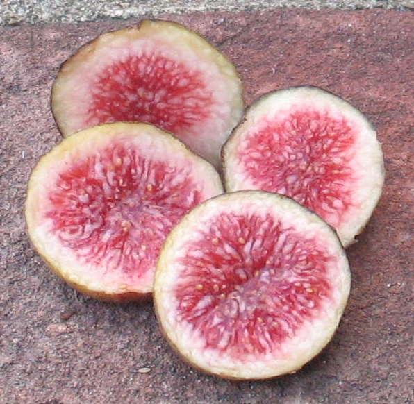 Punch Berry Figs – Mountain Figs