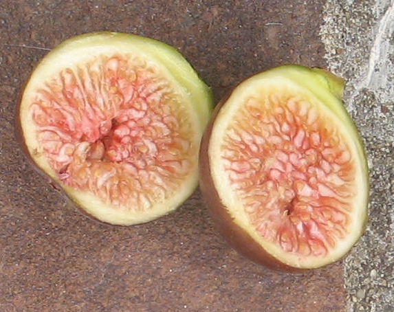 Sugar-Berry Figs – Mountain Figs