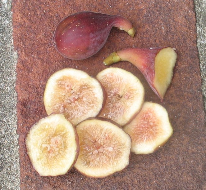 Brown Sugar Figs – Mountain Figs