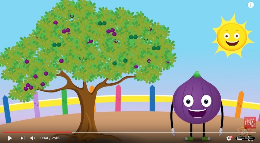 Fig Music – Mountain Figs