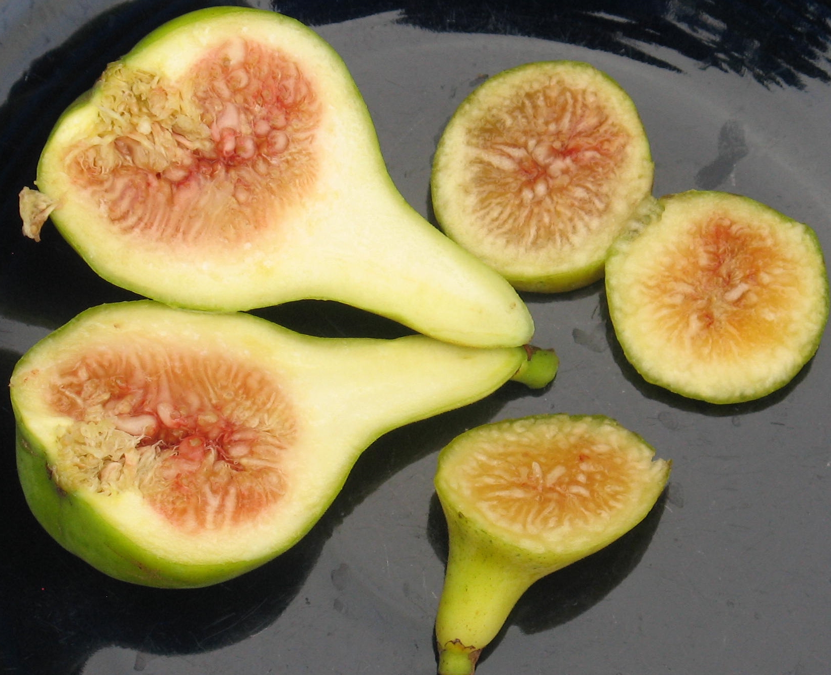 LSU Scott’s Yellow – Mountain Figs
