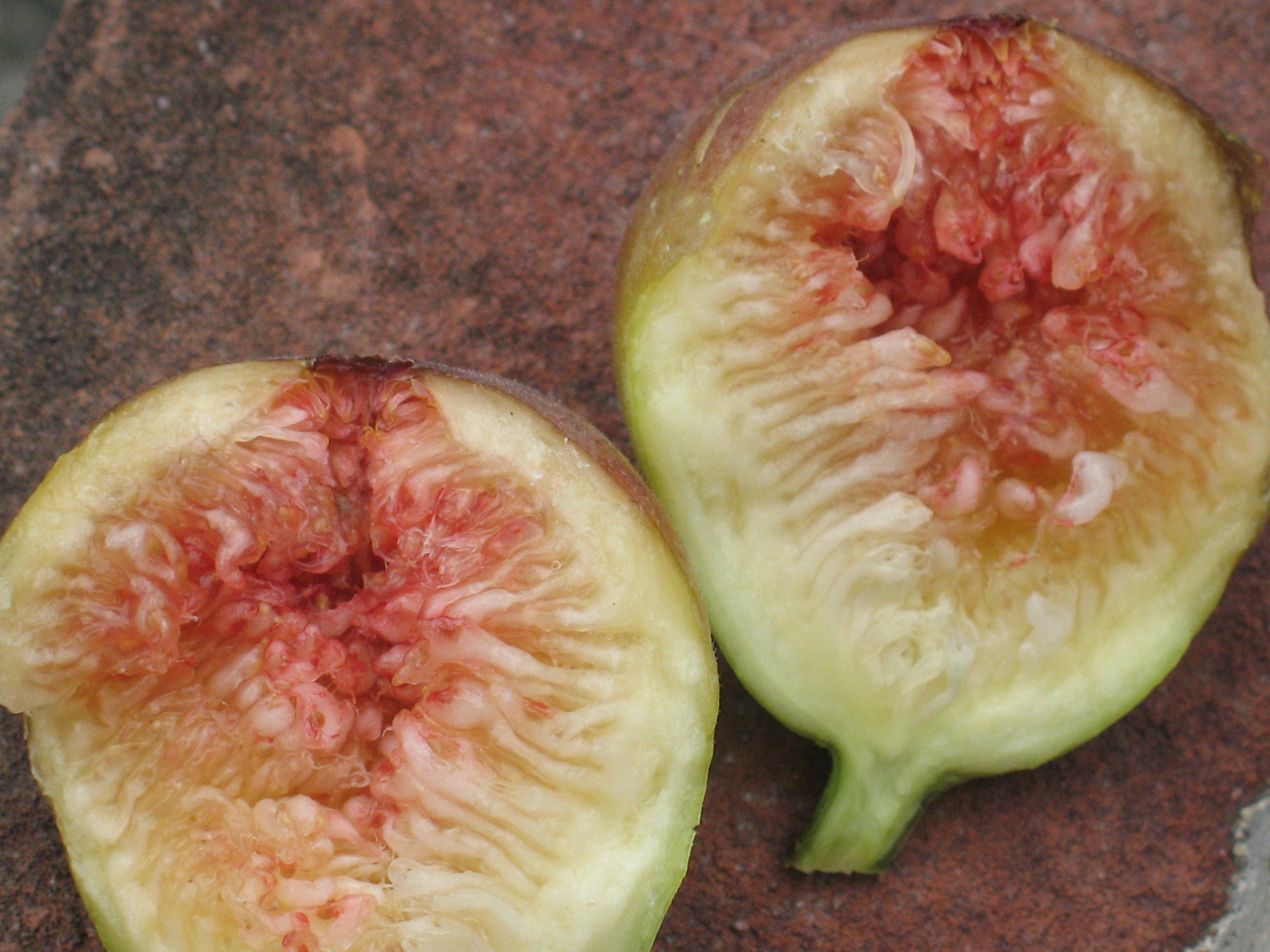 Capelas – Mountain Figs