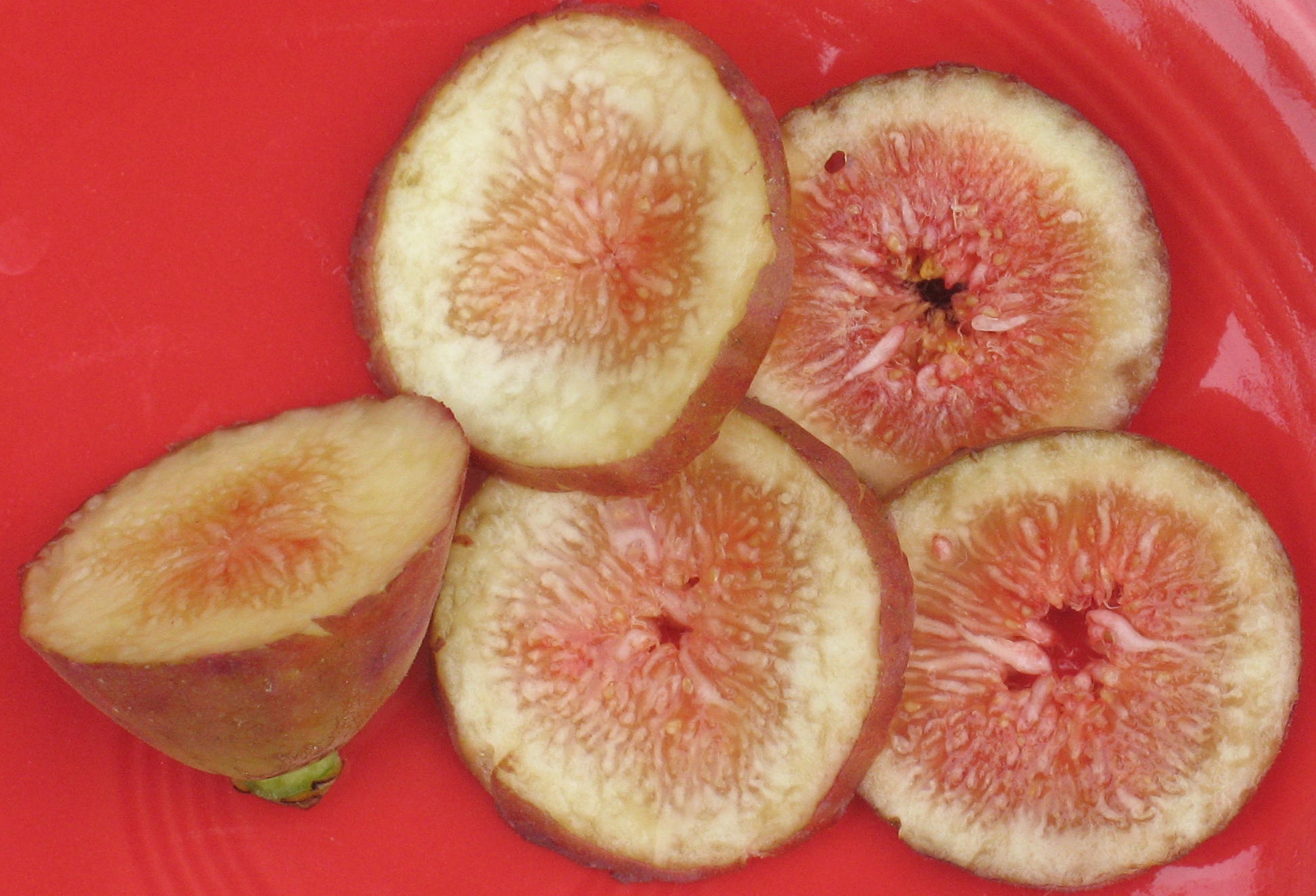 Dark Syrian – Mountain Figs