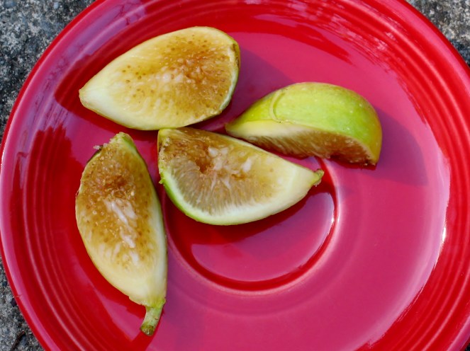 Golden Riverside (UCR 278-128) – Mountain Figs