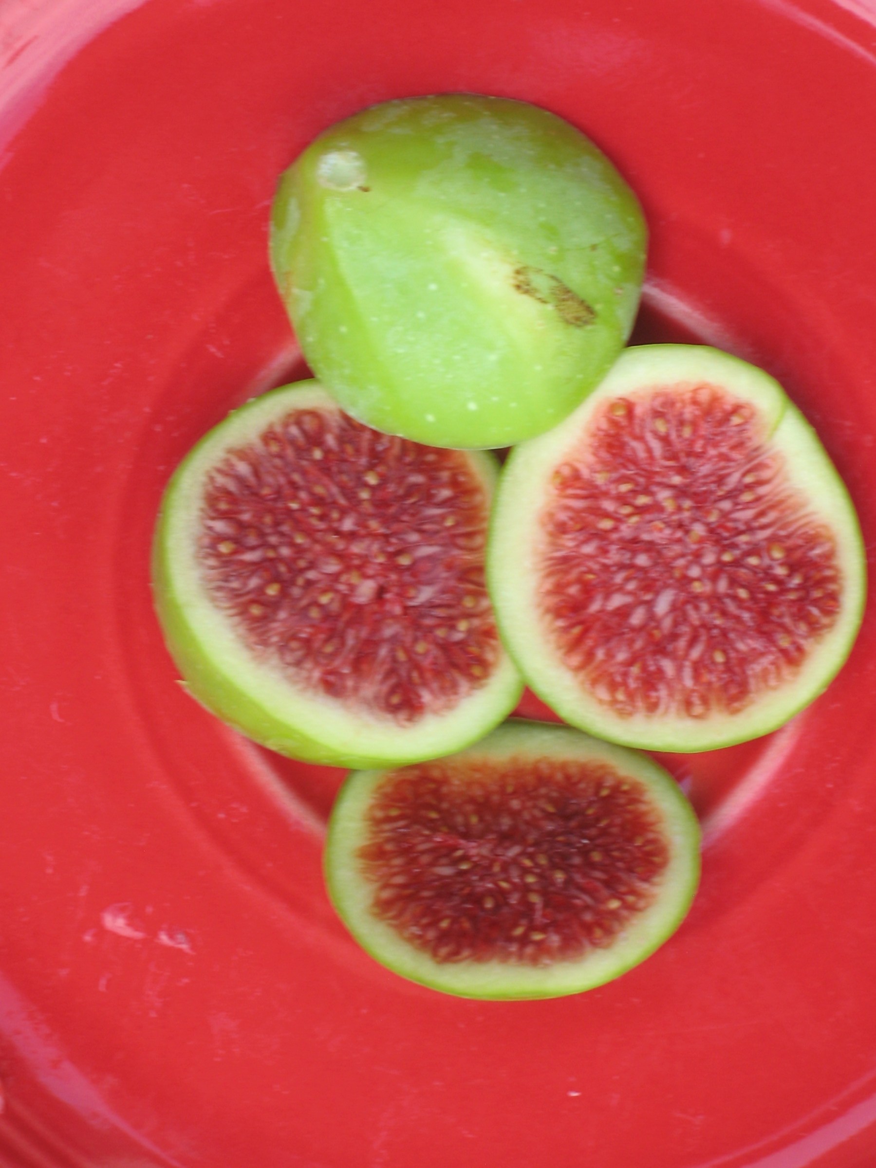 New Varieties – Mountain Figs