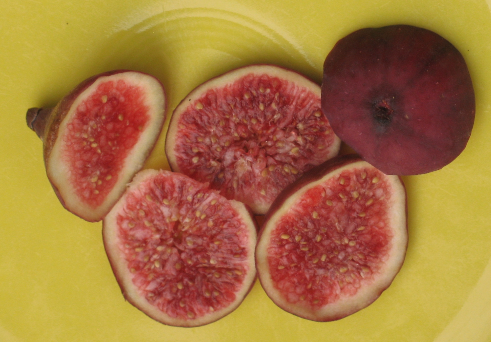 New Varieties – Mountain Figs