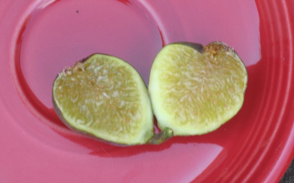 Siblawi – Mountain Figs