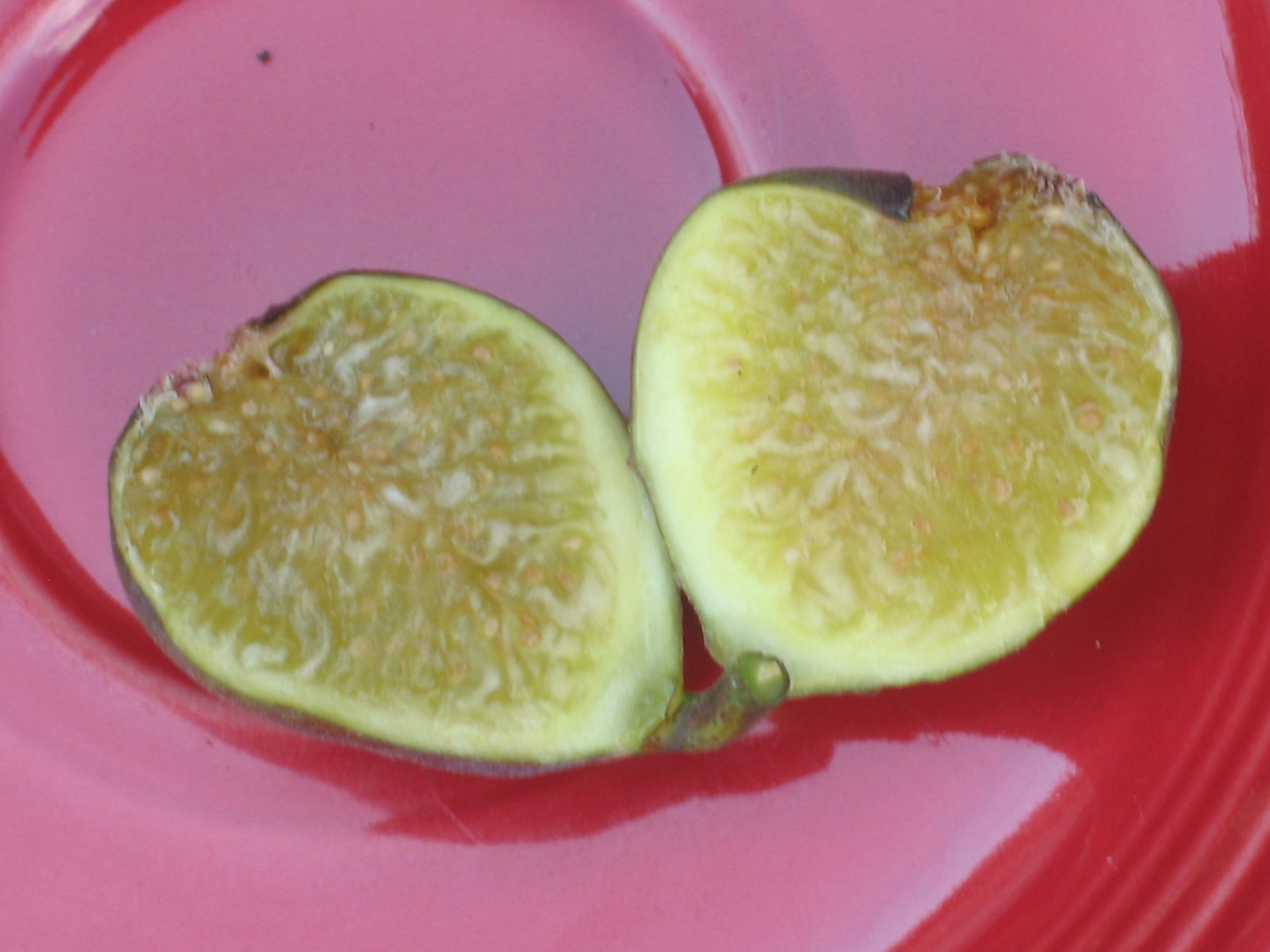 Siblawi – Mountain Figs