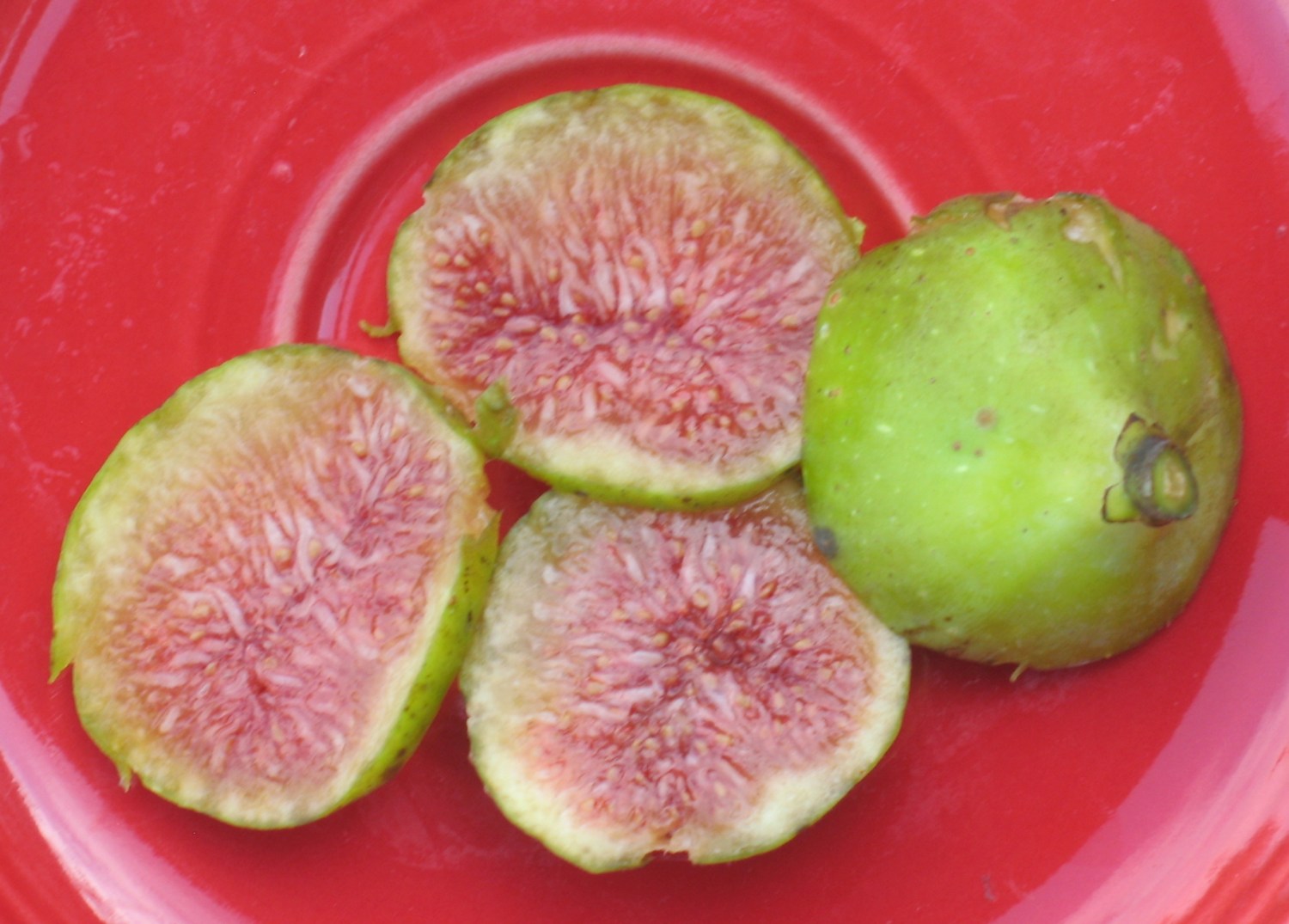 New Varieties – Mountain Figs
