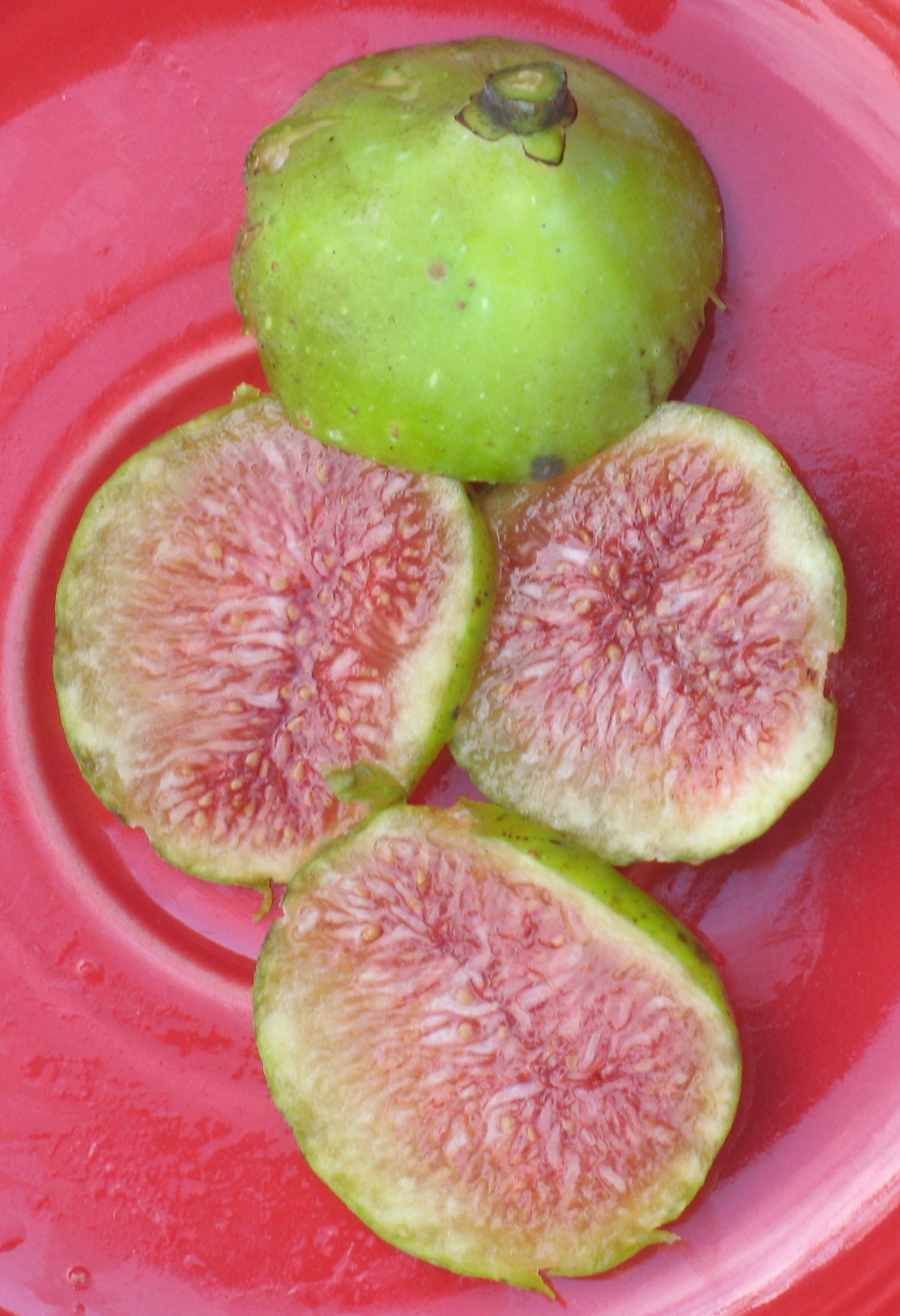 Sucrette – Mountain Figs