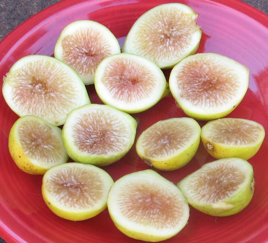 Figs by Bounty – sheer production – Mountain Figs