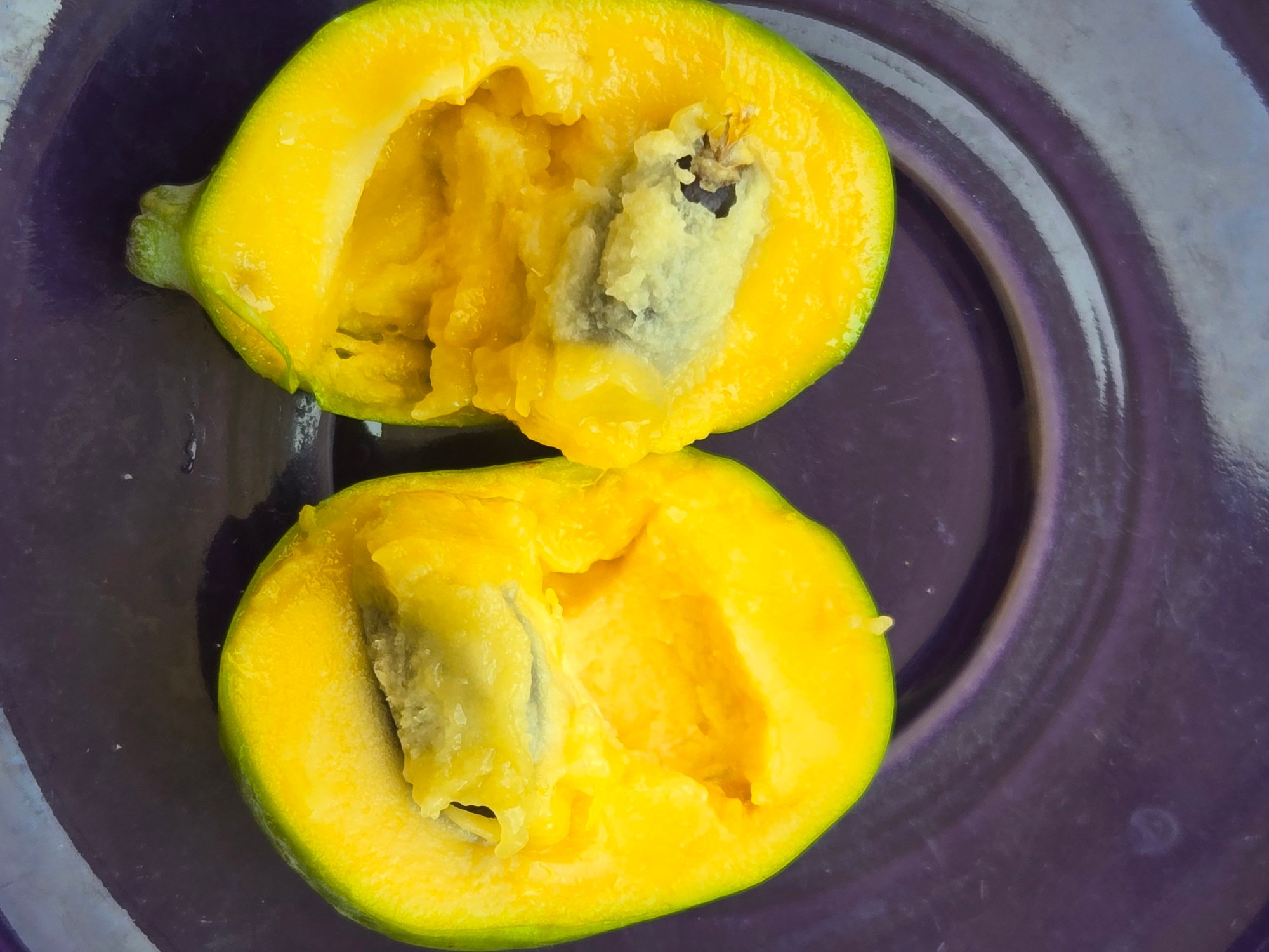 World’s Smallest Pawpaw – Mountain Figs