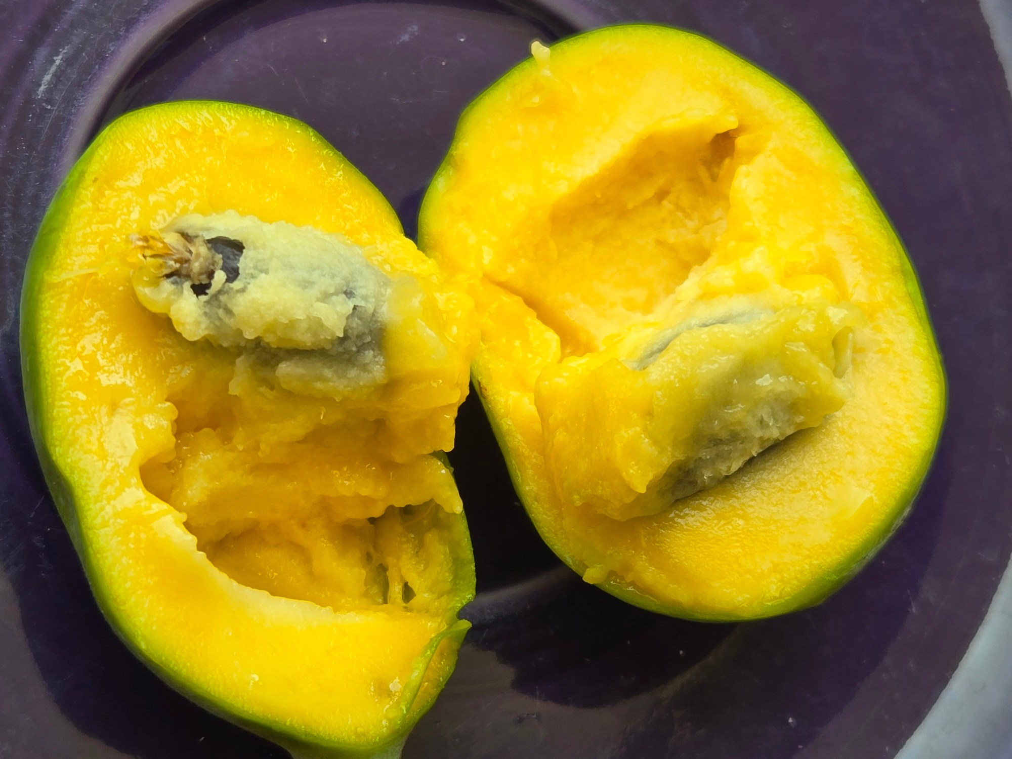 World’s Smallest Pawpaw – Mountain Figs