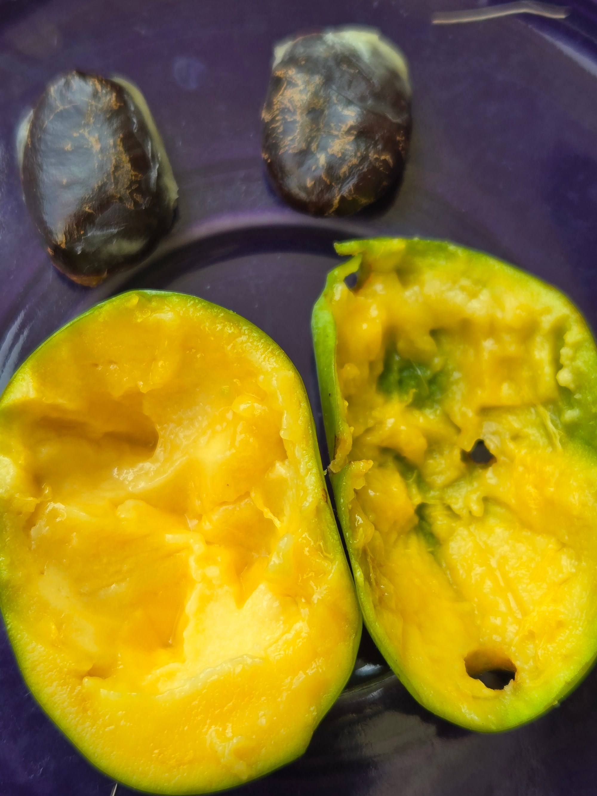 World’s Smallest Pawpaw – Mountain Figs